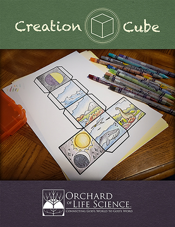Creation Cube - Orchard of Life Science